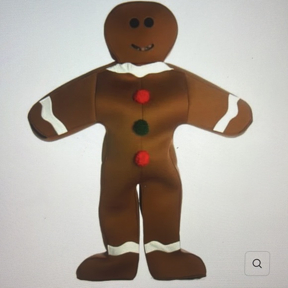 Rasta Imposta | Other | Rasta Imposta Giant Mr Gingerbread Man Costume ...